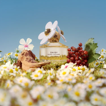 DAISY EDT - MARC JACOBS - SUNDORA in BD – Sundora